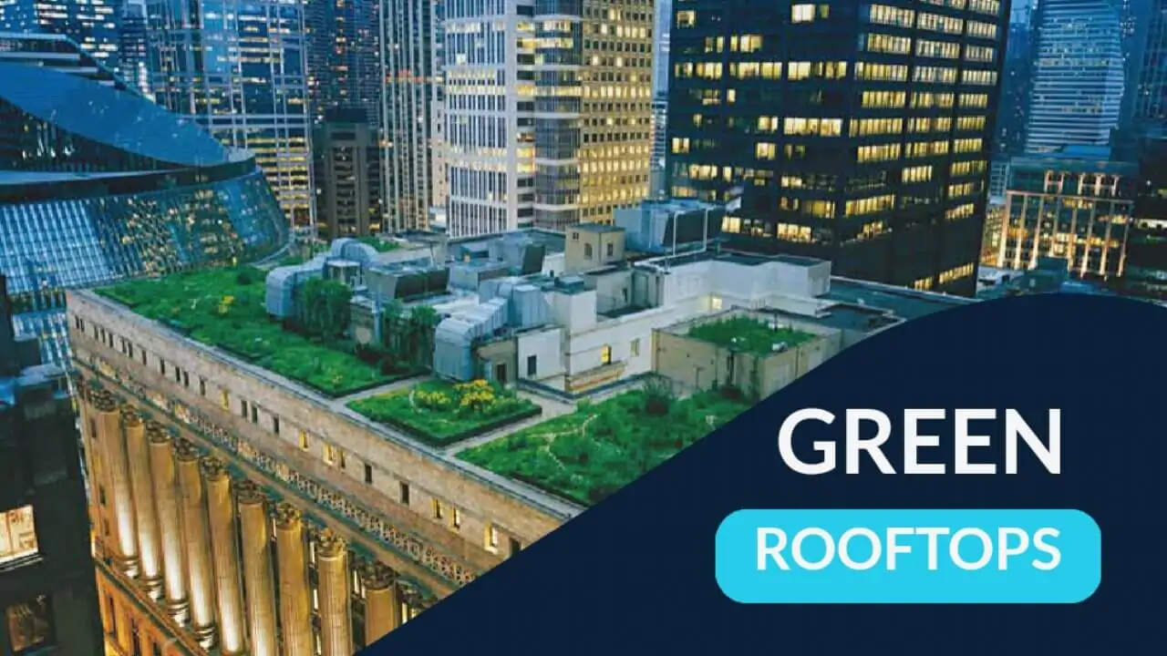 What Is Green Rooftop And Its Latest Benefits