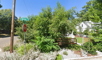 Forest Roofs | A-1 Roffing Now